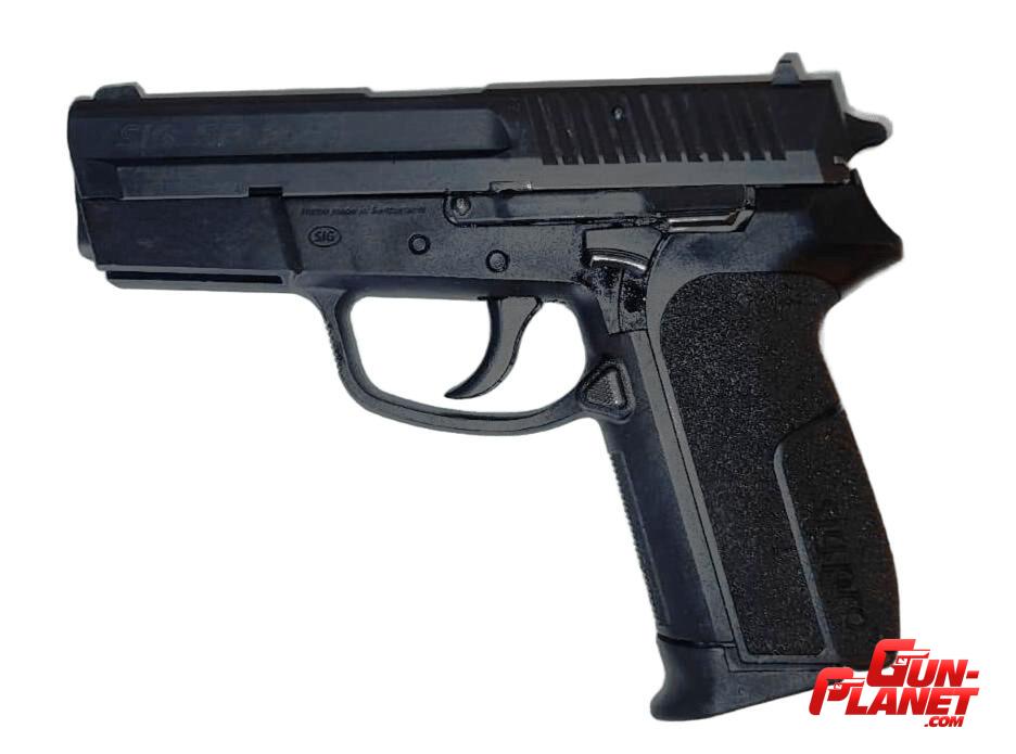 Gun Planet | Sig Sauer SP2009